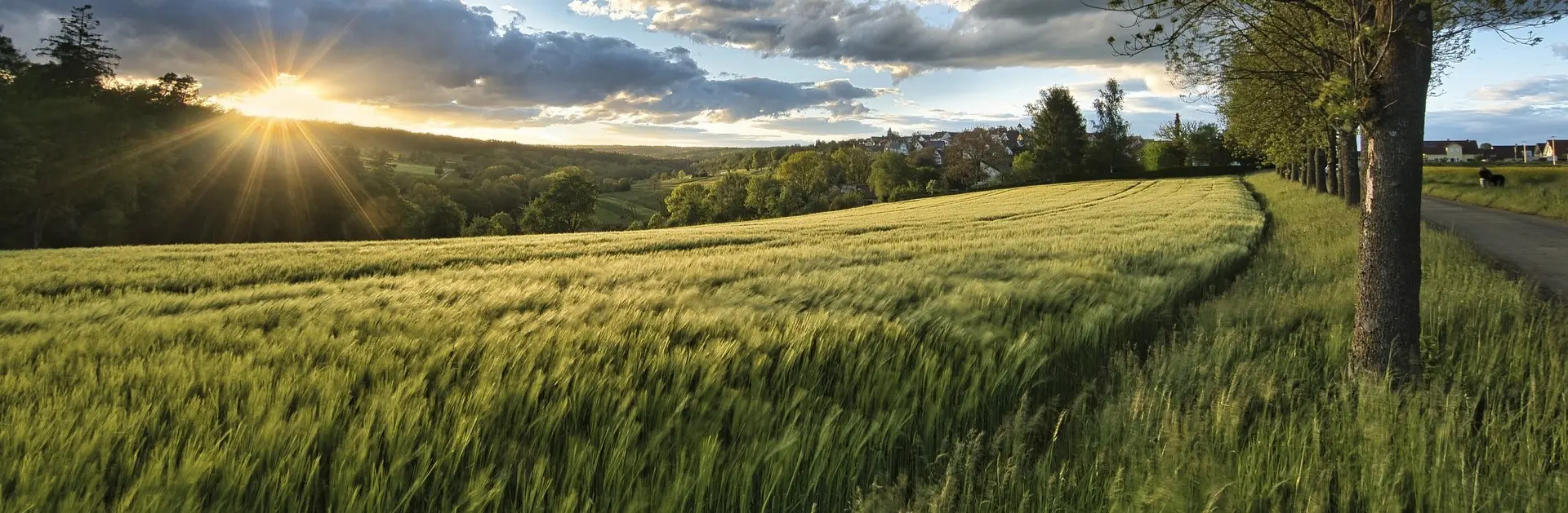 Meadows Funeral Home, Inc. | Funeral Home & Crematory